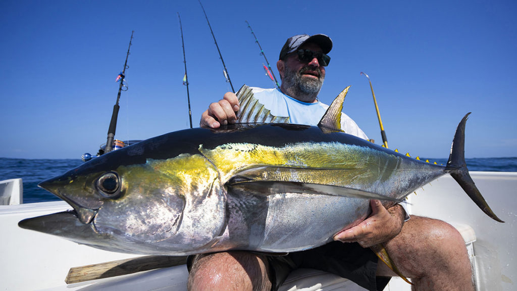 COLOMBIA | Marcel Cabrera Salvat