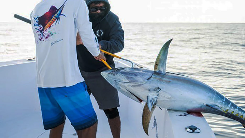 MALDIVES | Marcel Cabrera Salvat