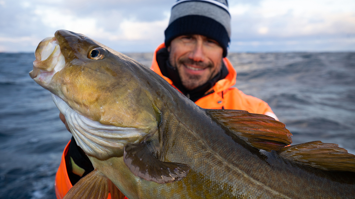 MCS Upcoming Trips about spearfishing of the season