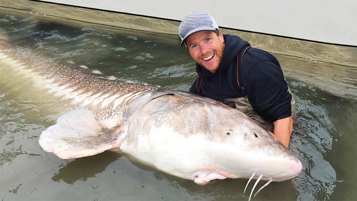 MCS Upcoming Fishing & Spearfishing Trips